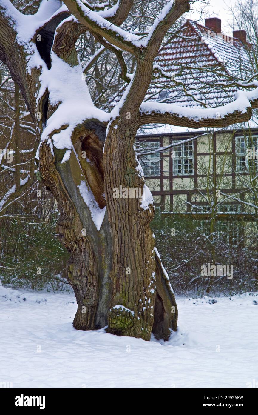 Schoenebeck Castle in winter, Bremen, Germany Stock Photo - Alamy