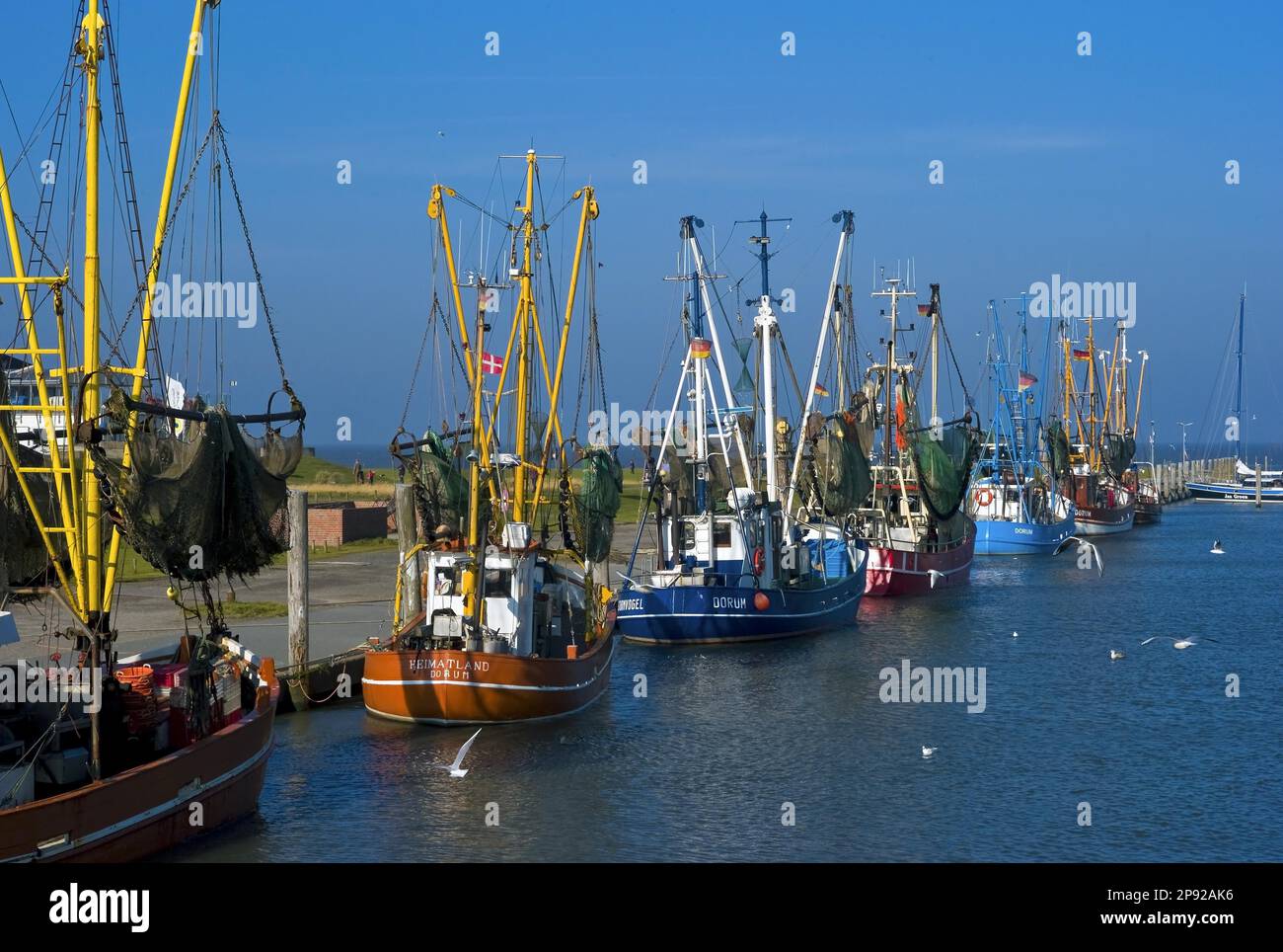 Crab cutter in the harbour of Dorum Neufeld in the district of Cuxhaven ...