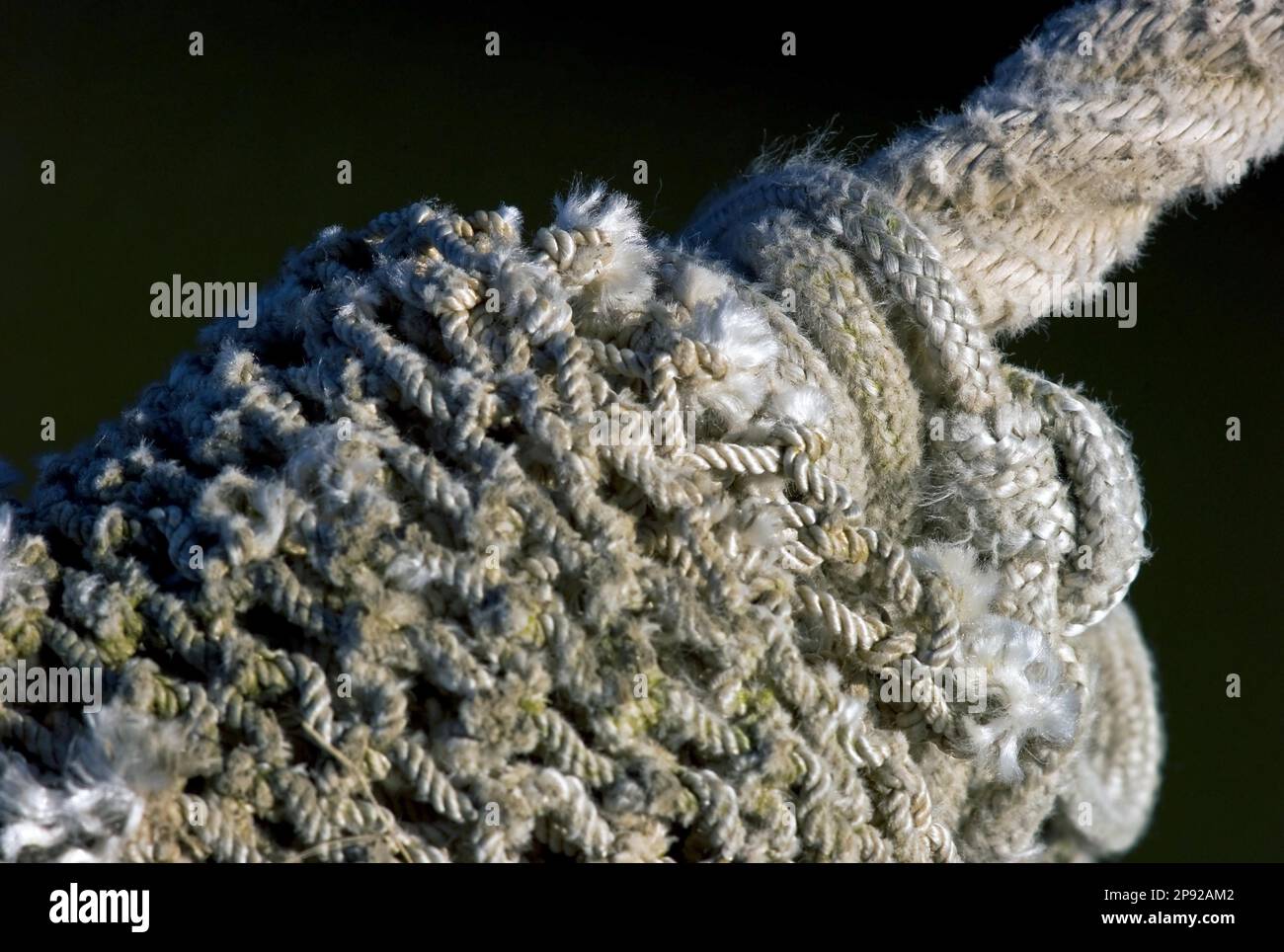 Rope of a crab cutter in the harbour of Dorum Neufeld in the district ...