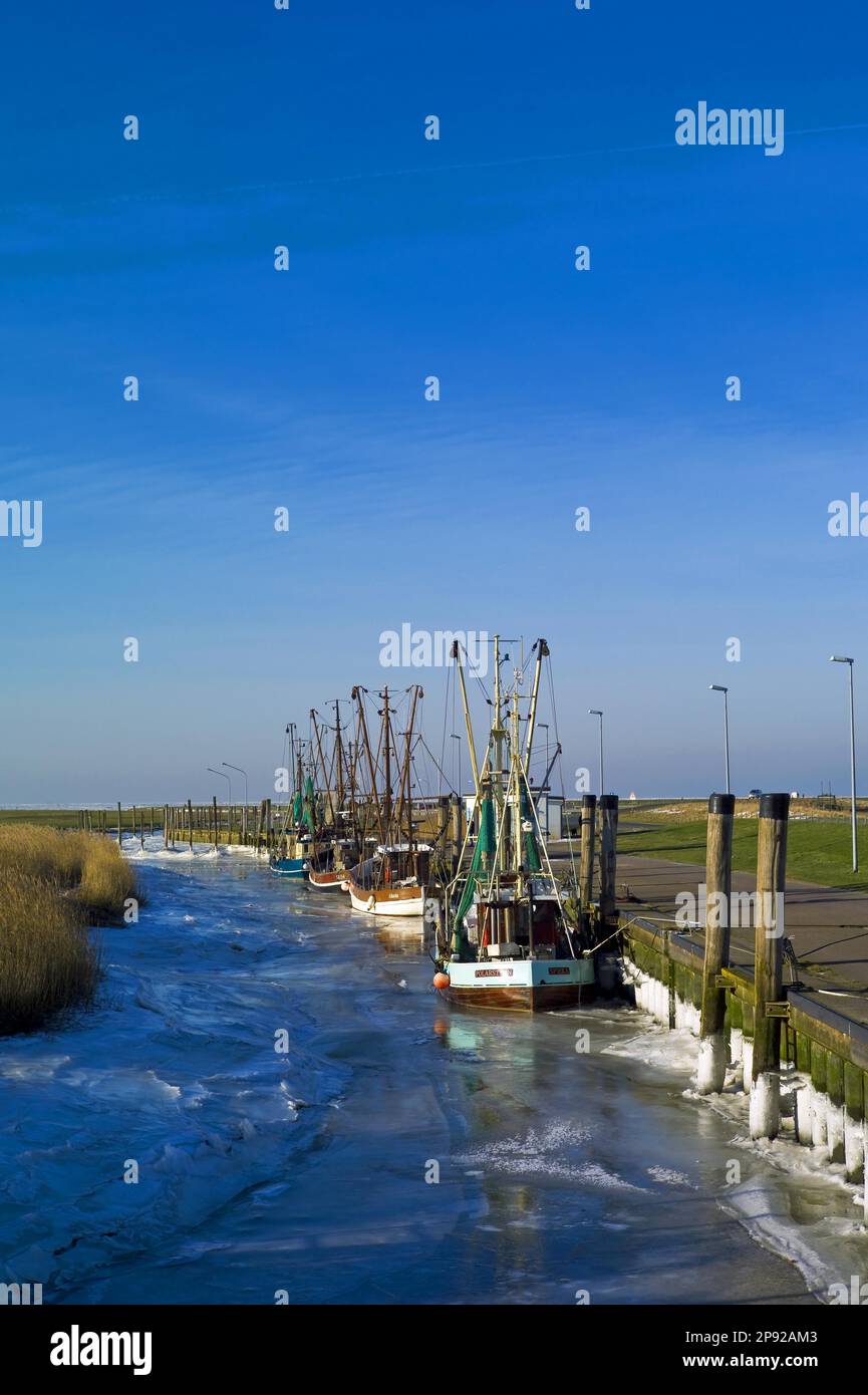 Spieka Neufeld, iced-up cutter harbour, Cuxhaven district, Germany ...