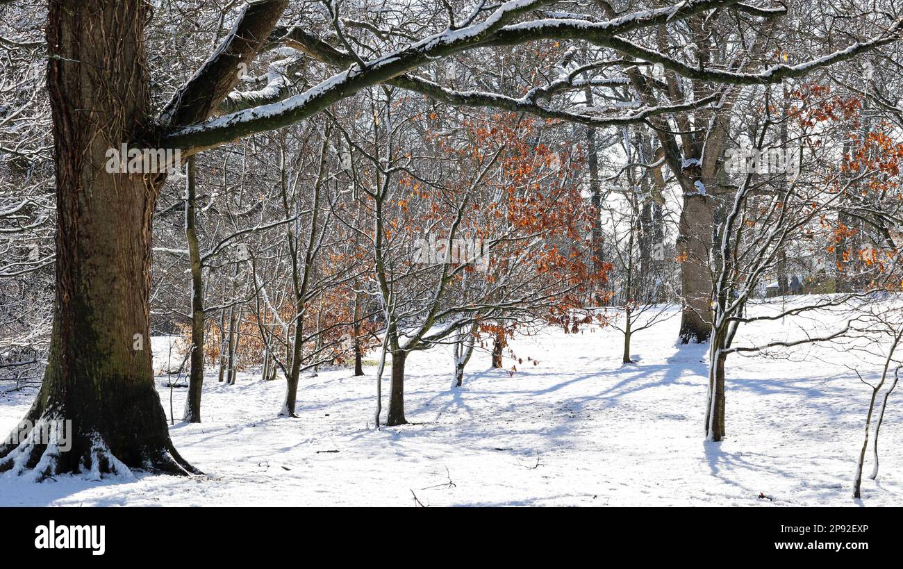 Moira, County Down, Northern reland, UK. 10 Mar 2023. UK weather - a ...
