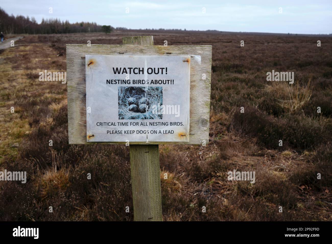 Sign for nesting birds and keeping dogs on leads at Newgate Bank. By ...