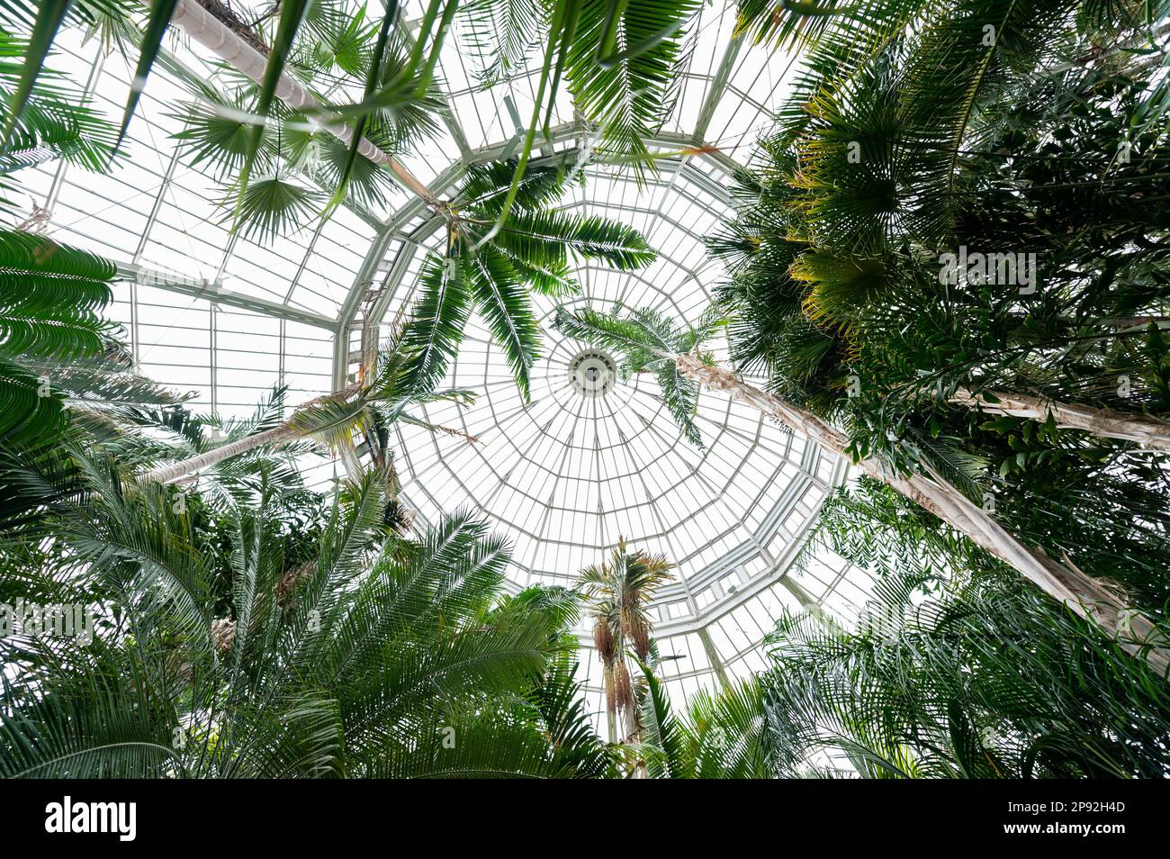 Domes rounded hi-res stock photography and images - Alamy