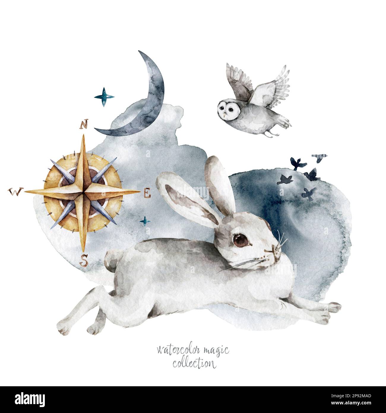 Hare, owl, forest animals watercolor. Compass, symbolism, magic Stock ...