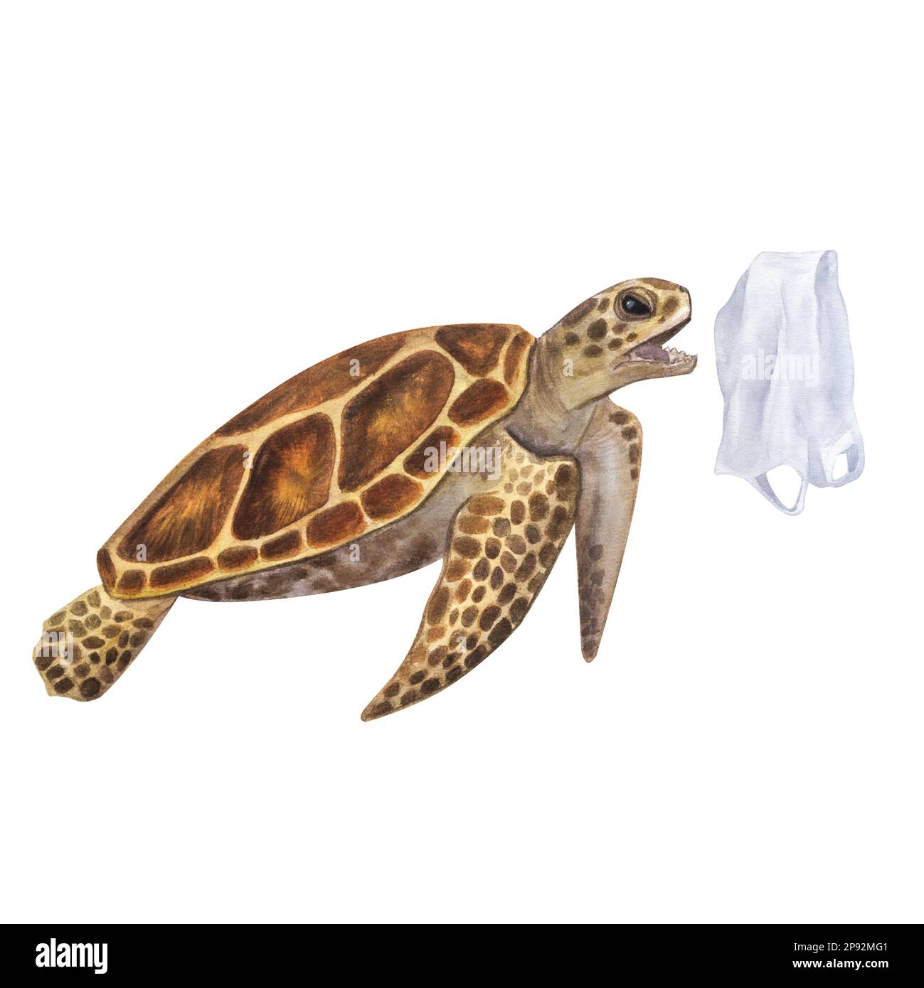 Big sea turtle hunts eats package instead jellyfish. Endangered. Hand ...