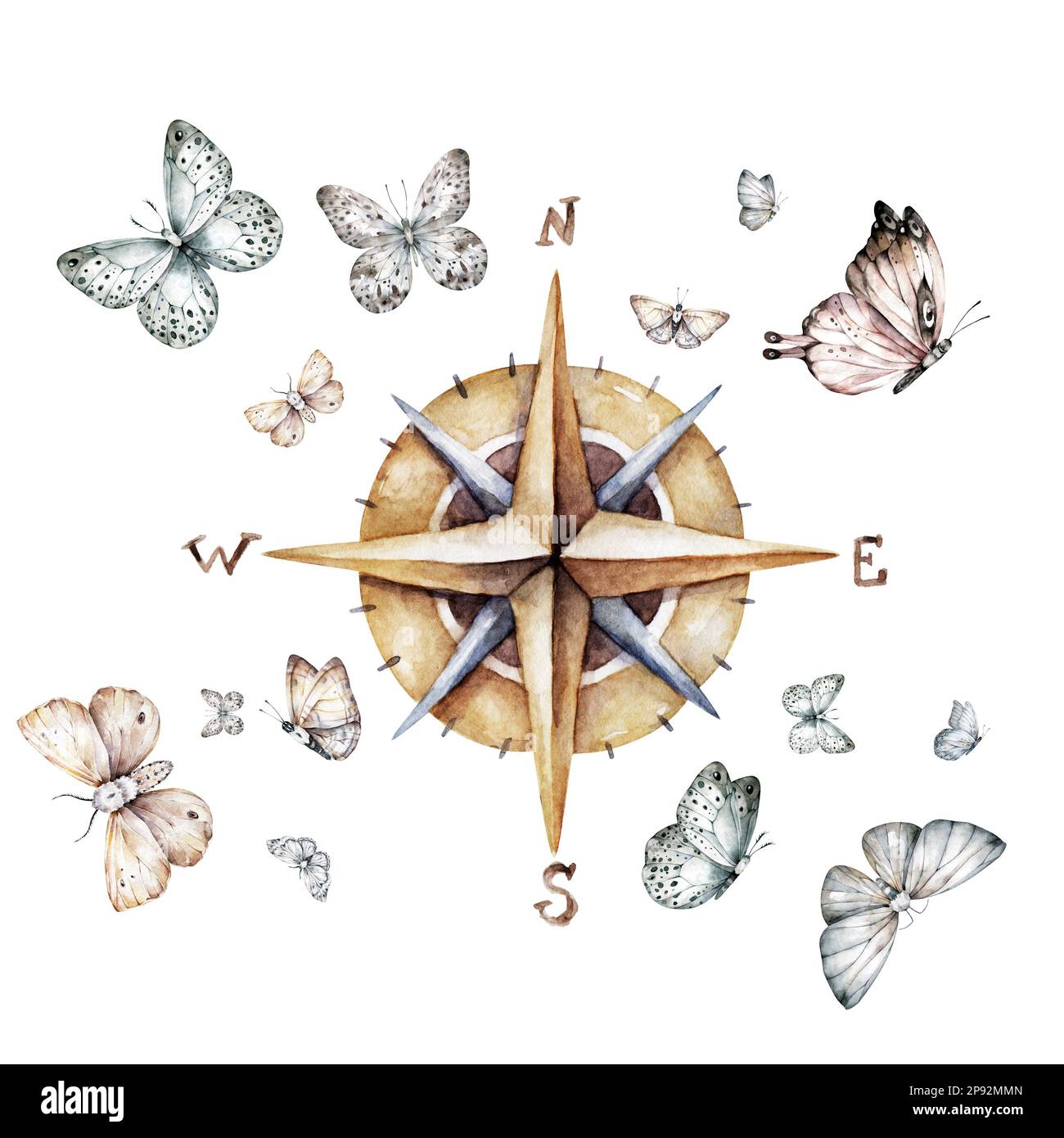 Compass and flying butterflies watercolor illustration. Symbols ...
