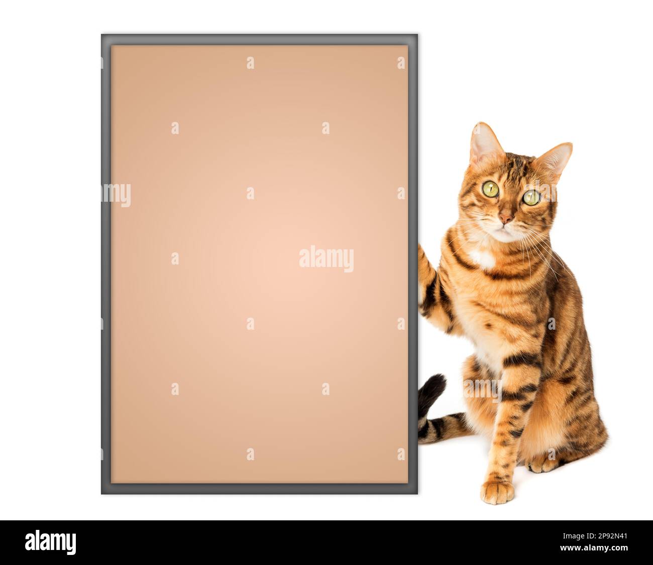 Cartoon red cat holding Cut Out Stock Images & Pictures - Alamy