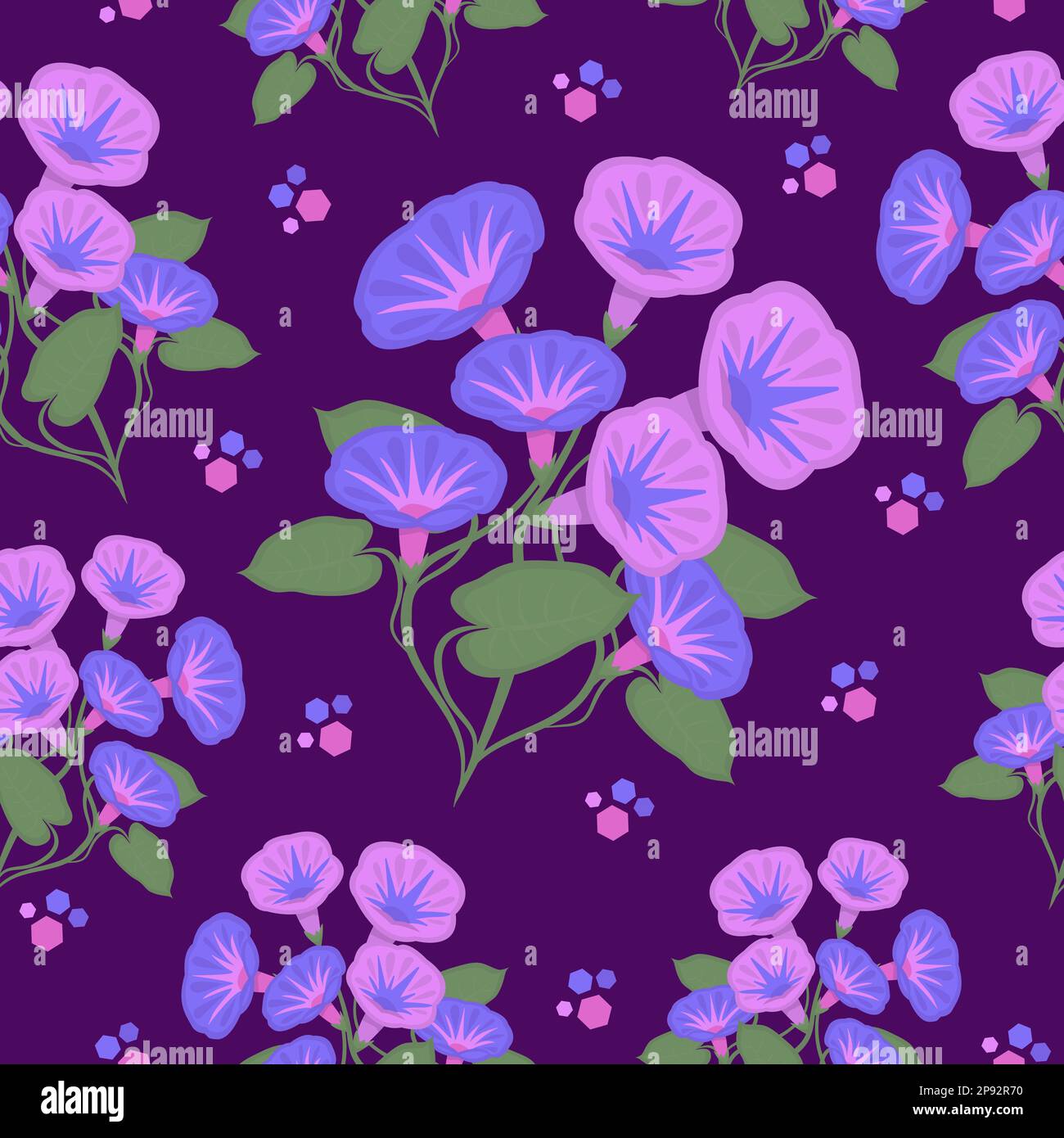 Blue and purple morning glory Stock Vector Images - Alamy