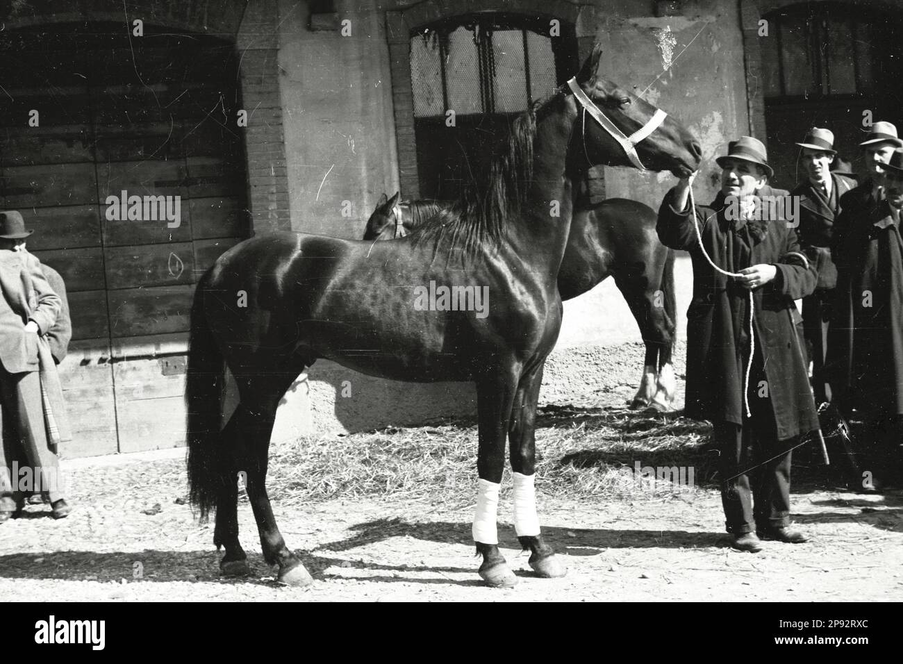 Verona - Fiera Cavalli 1939 Stock Photo - Alamy