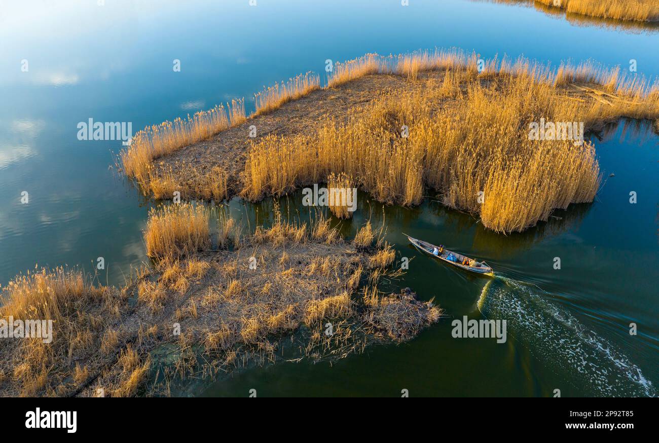 Eber lake and reeds, Afyonkarahisar, Turkey Stock Photo - Alamy