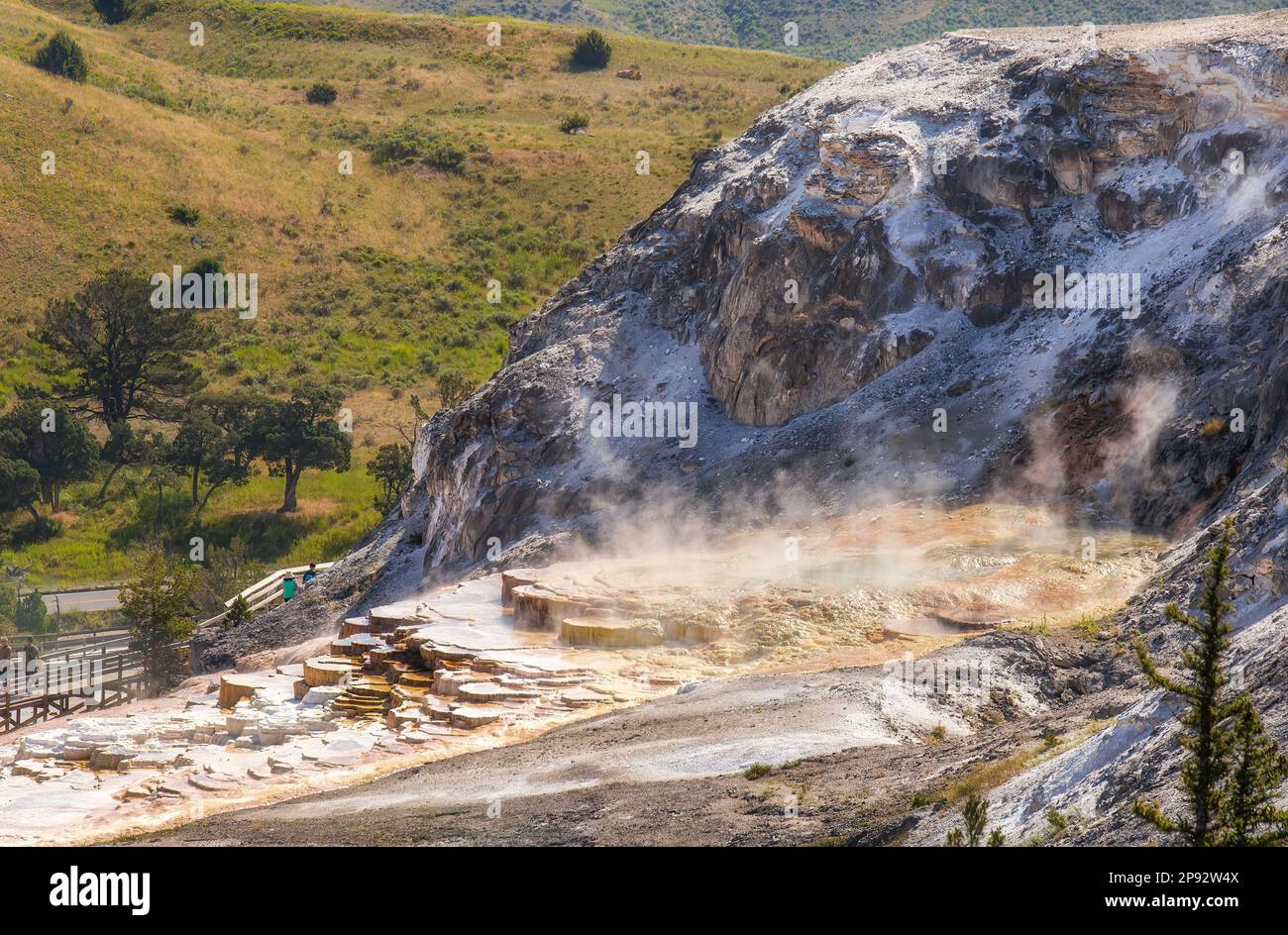 Layered geothermal rock formations with bubbling water and steam rising ...