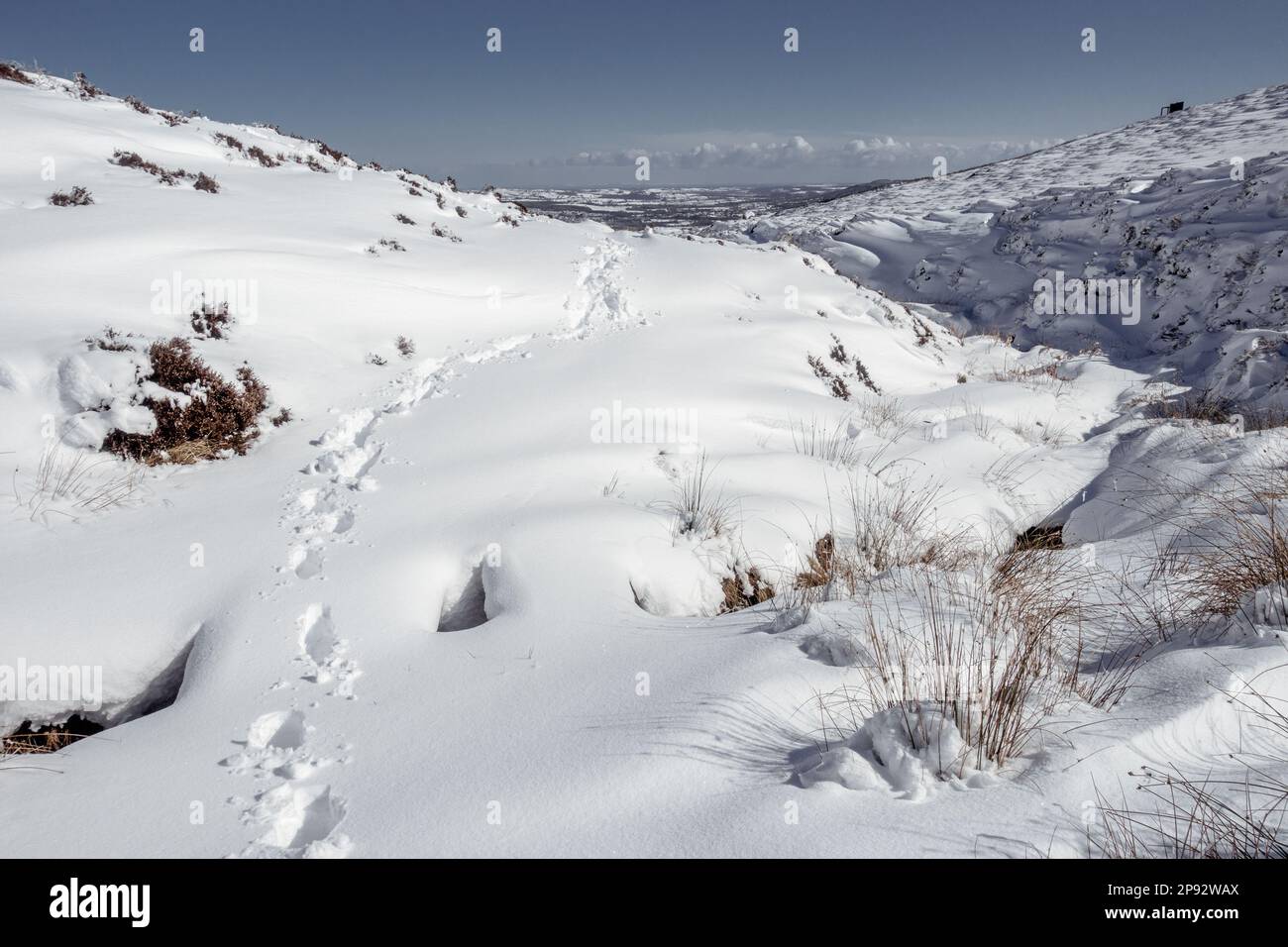 UK weather - 10 March 2023 - Walker enjoys Burley Moor covered in a ... UK weather - 10 March 2023 - Walker enjoys Burley Moor covered in a ...