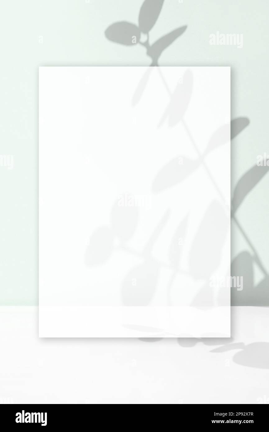 Plant shadows on neutral color wall. Leaves shadow background. Branches ...