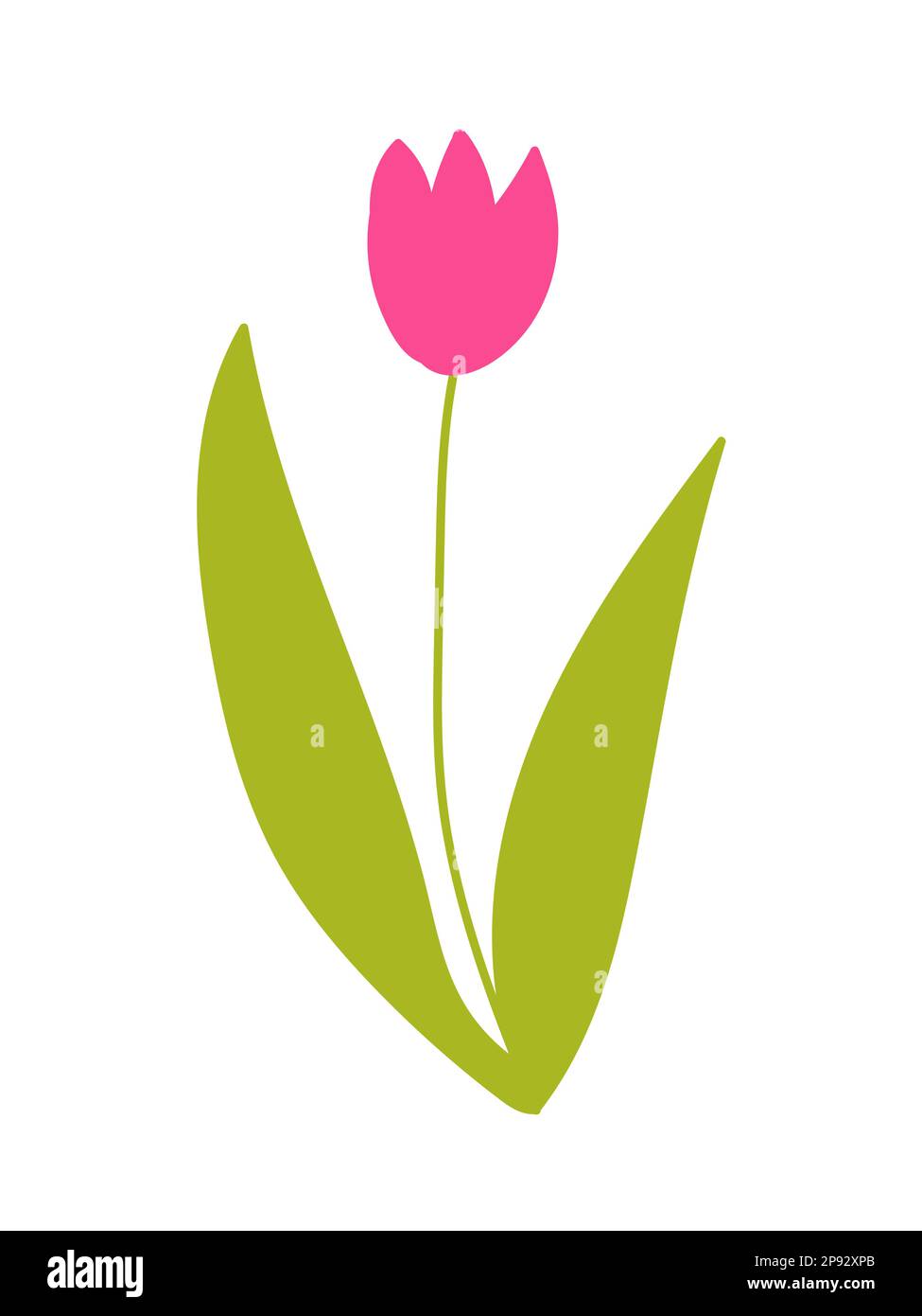 Vector tulip illustration Stock Vector Image & Art - Alamy