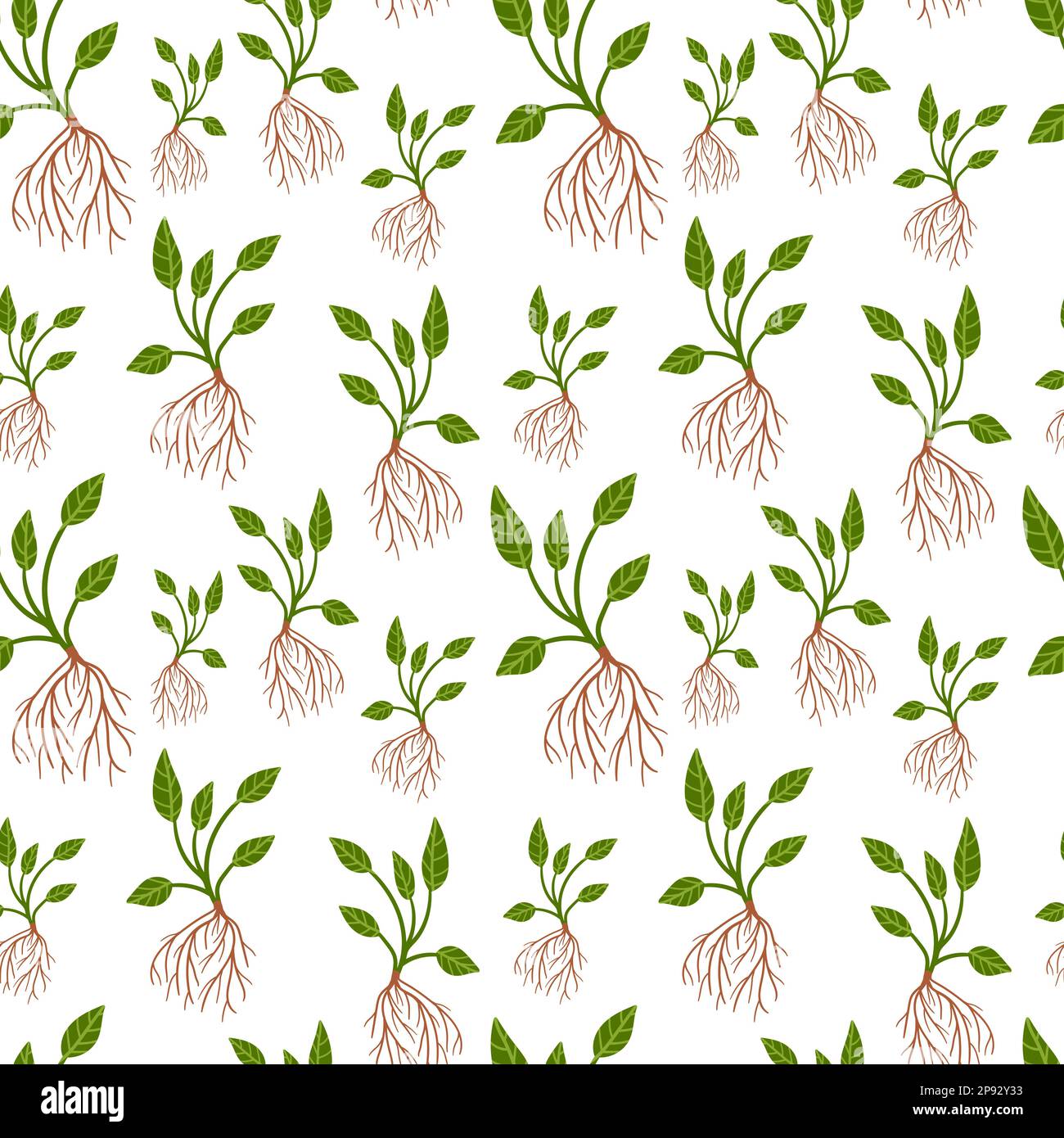 Plant with roots seamless pattern Stock Vector Image & Art - Alamy