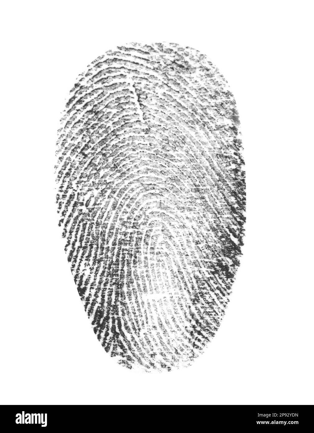 Black fingerprint made with ink on white background Stock Photo - Alamy
