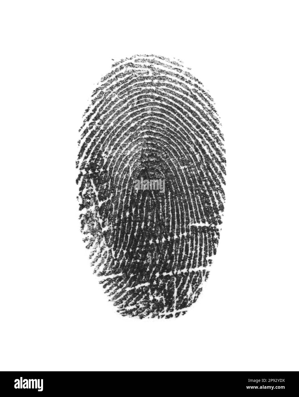 Black fingerprint made with ink on white background Stock Photo - Alamy