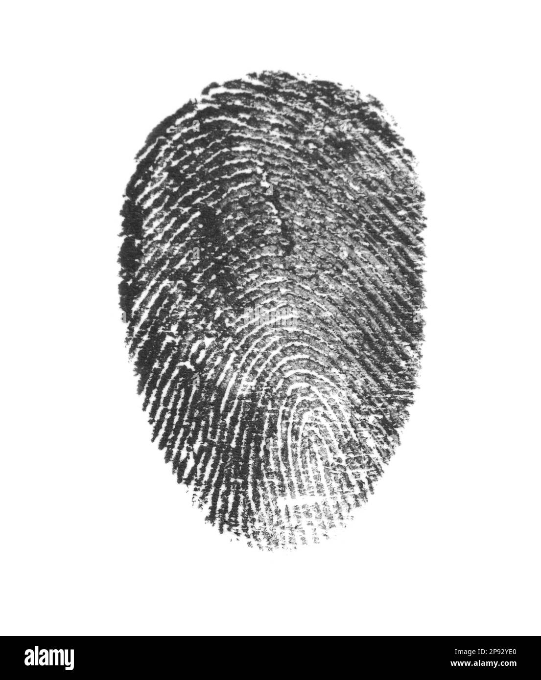 Black fingerprint made with ink on white background Stock Photo - Alamy