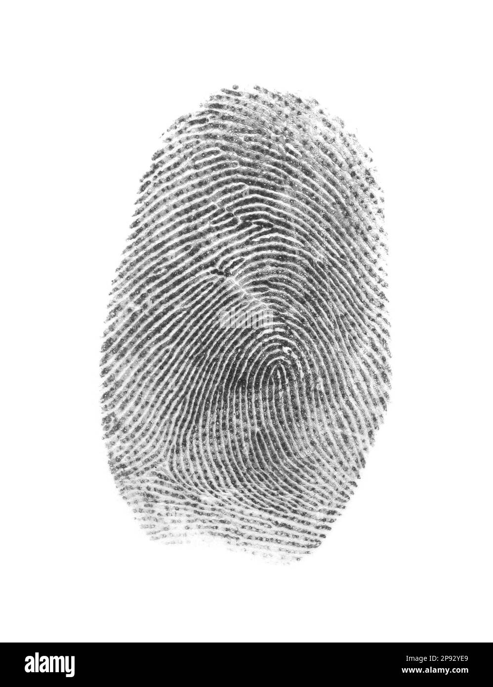 Black fingerprint made with ink on white background Stock Photo - Alamy