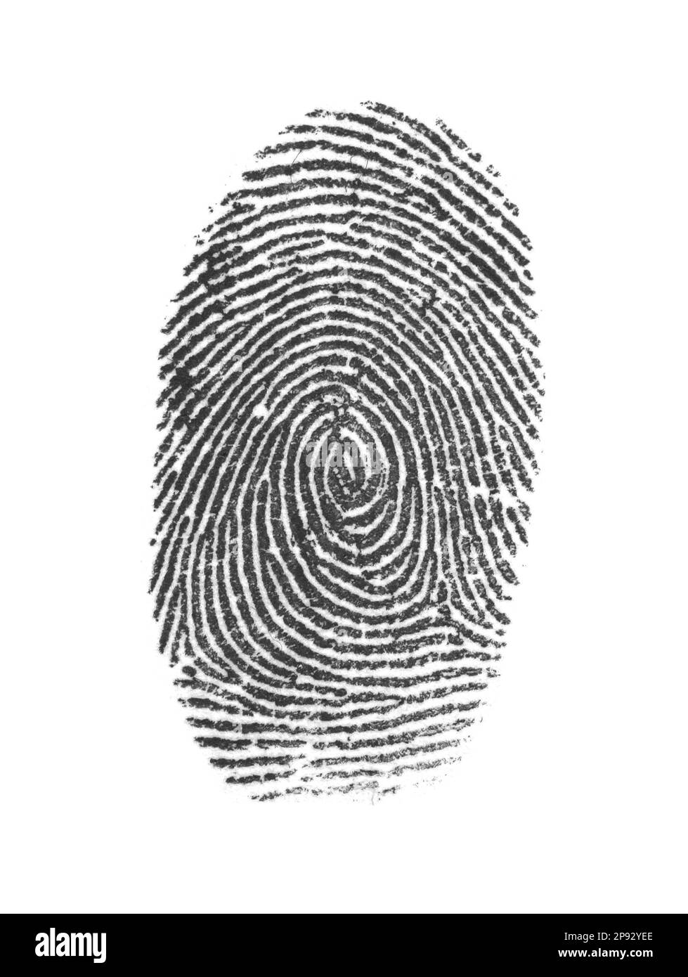 Black fingerprint made with ink on white background Stock Photo - Alamy