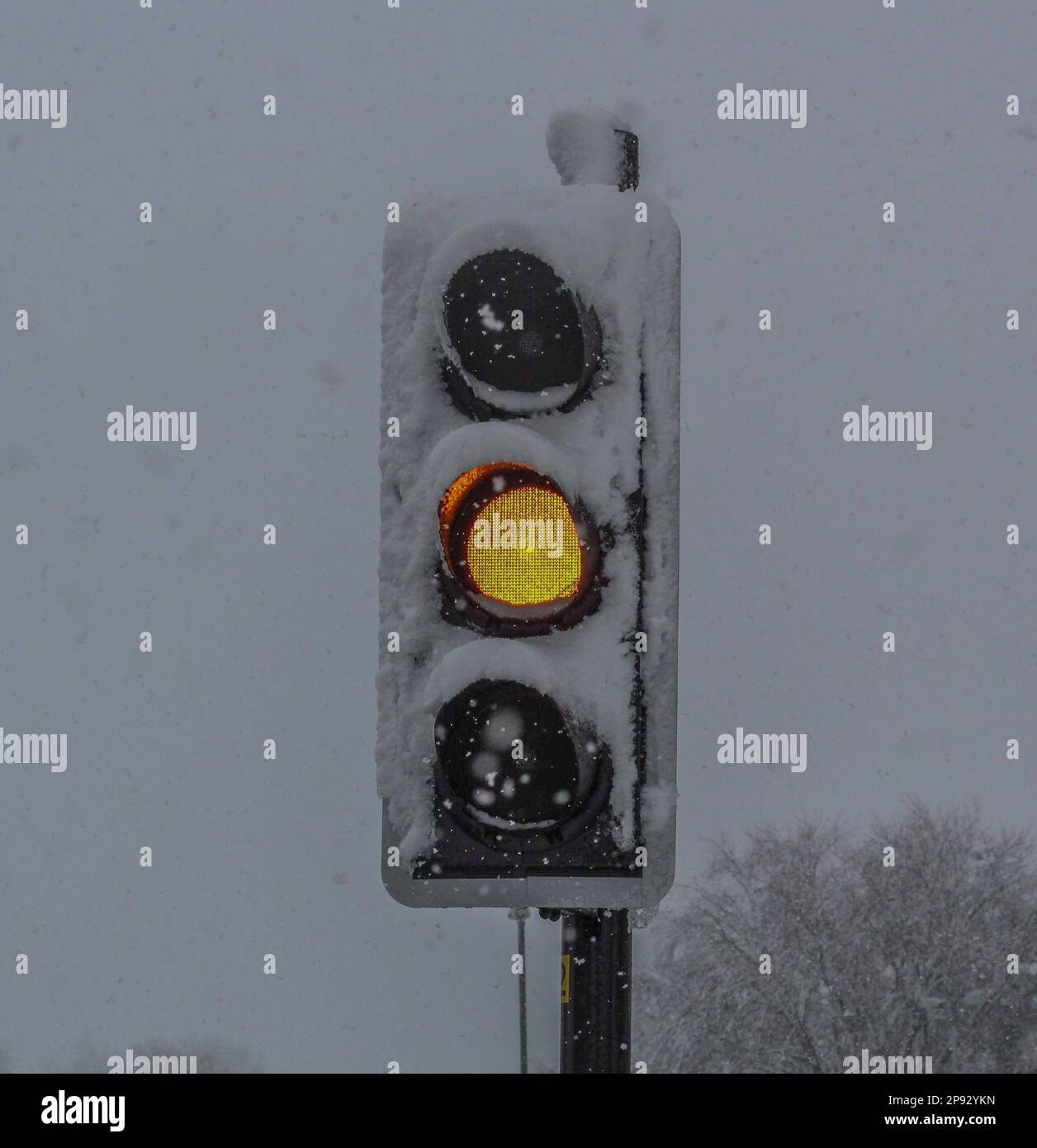 A traffic light covered with snow as heavy snow hits Barnsley as Yellow ...