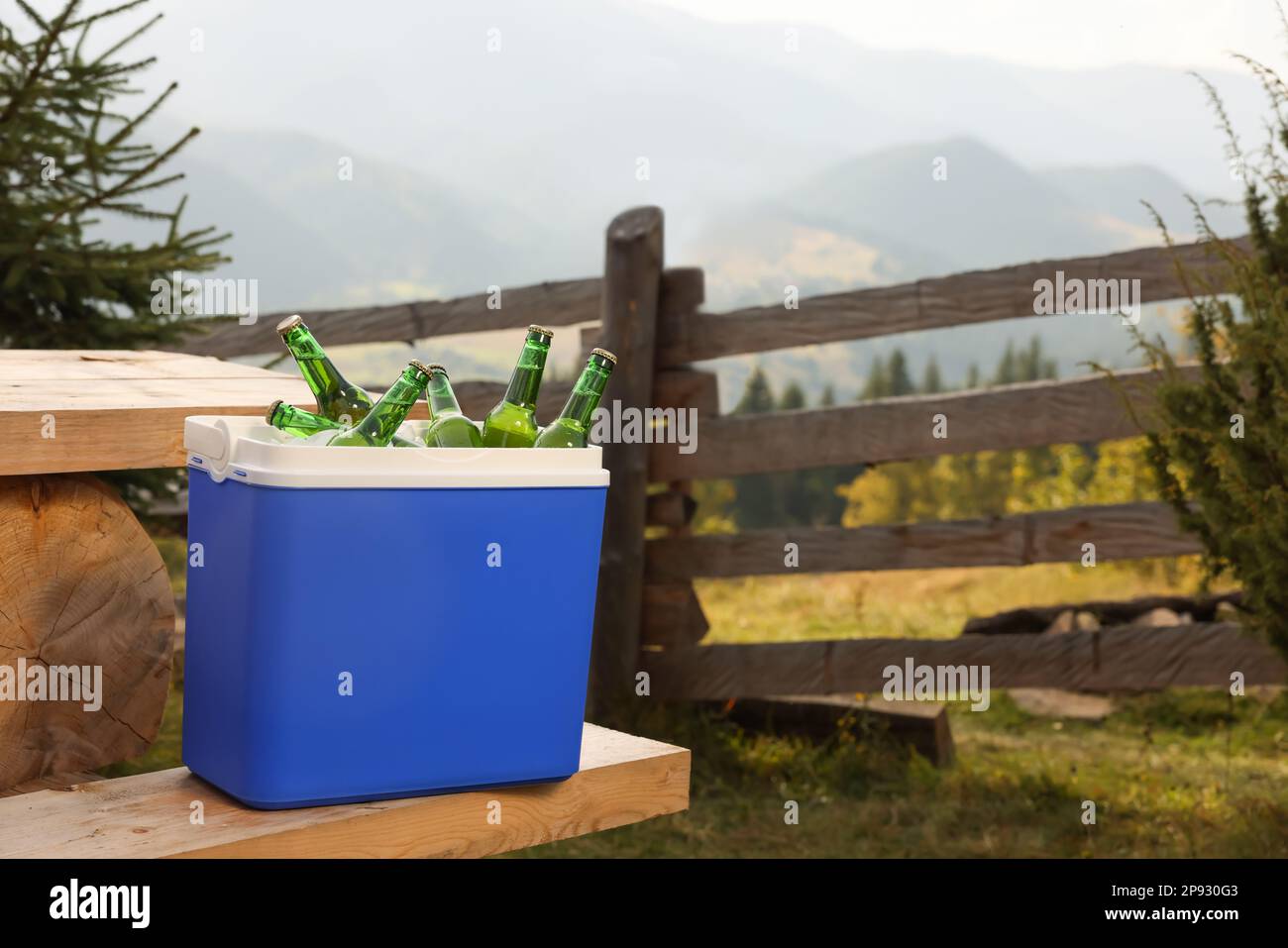 Cool box with bottles of beer on bench outdoors Stock Photo - Alamy