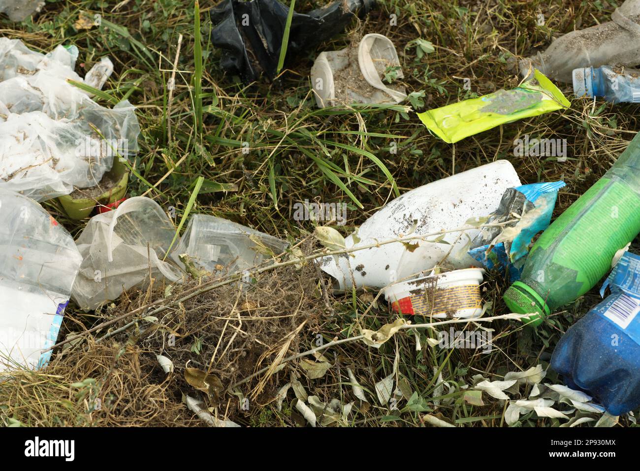Garbage scattered on grass. Environment pollution problem Stock Photo ...