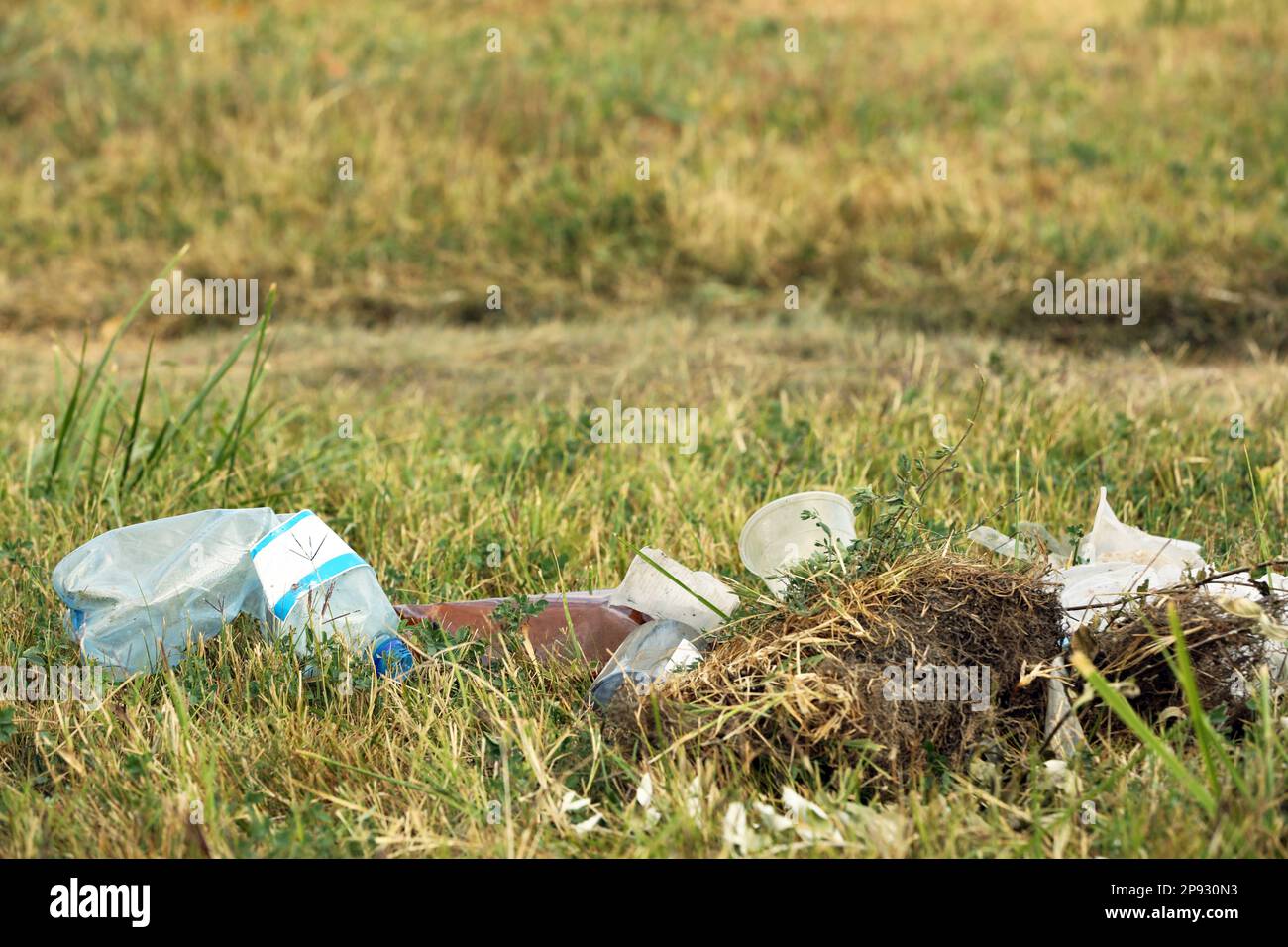 Garbage scattered on grass. Environment pollution problem Stock Photo ...