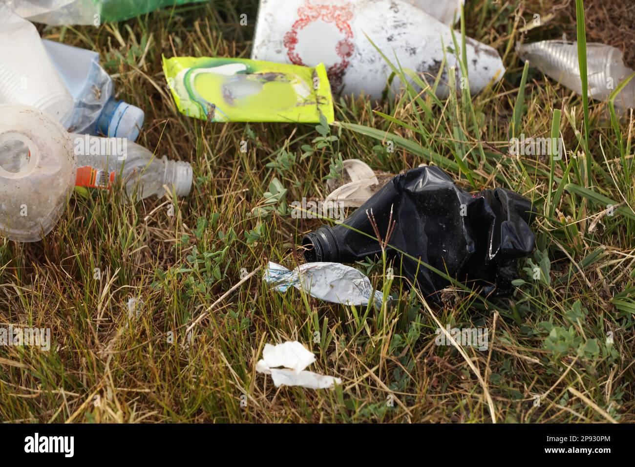 Garbage scattered on grass. Environment pollution problem Stock Photo ...
