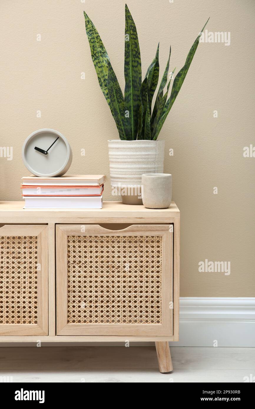 Beautiful plant in pot and different accessories on wooden commode near ...