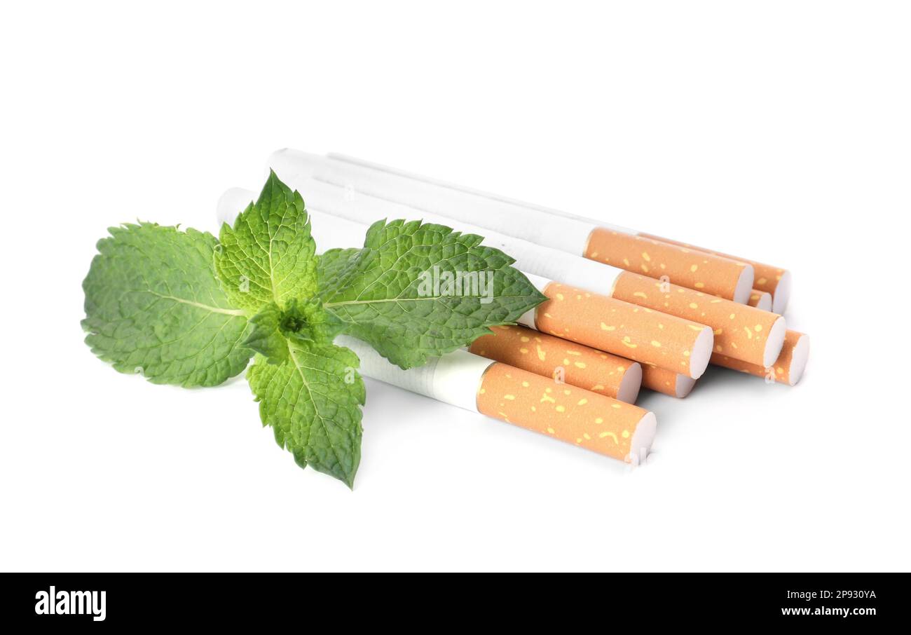 Menthol cigarettes and fresh mint leaves on white background Stock ...