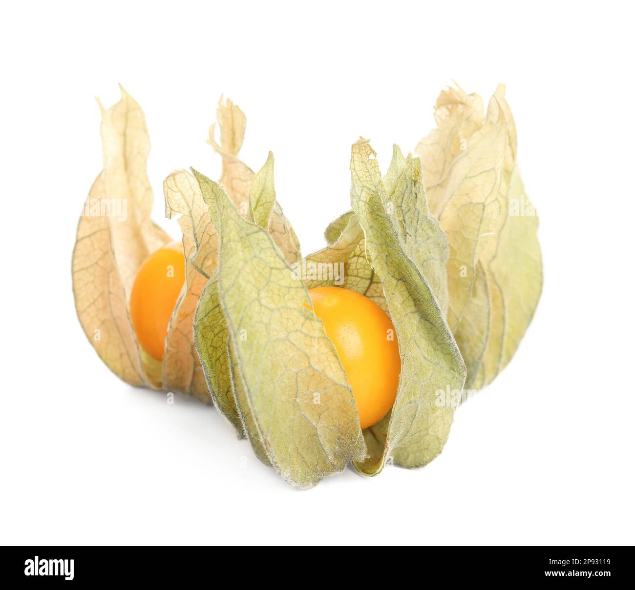 Ripe physalis fruits with dry husk on white background Stock Photo - Alamy
