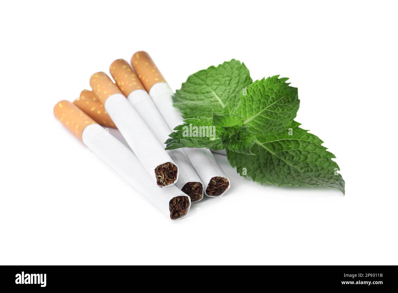 Menthol cigarettes and fresh mint leaves on white background Stock ...