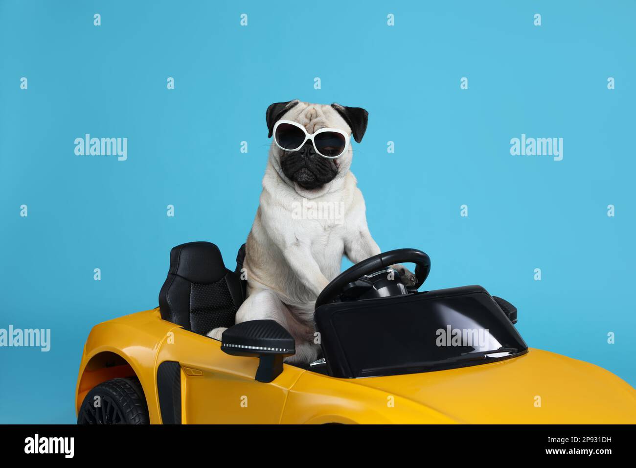 Funny pug dog with sunglasses in toy car on light blue background Stock ...