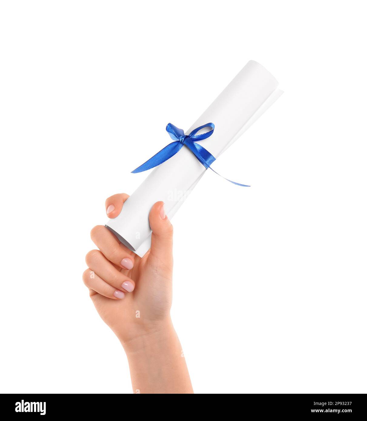 Student holding rolled diploma with blue ribbon on white background ...
