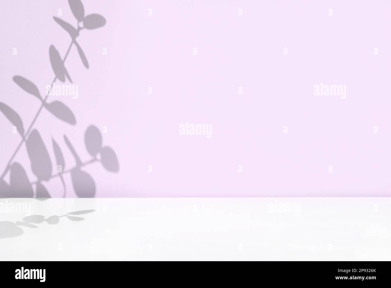 Plant shadows on violet color wall. Leaves shadow background. Branches ...