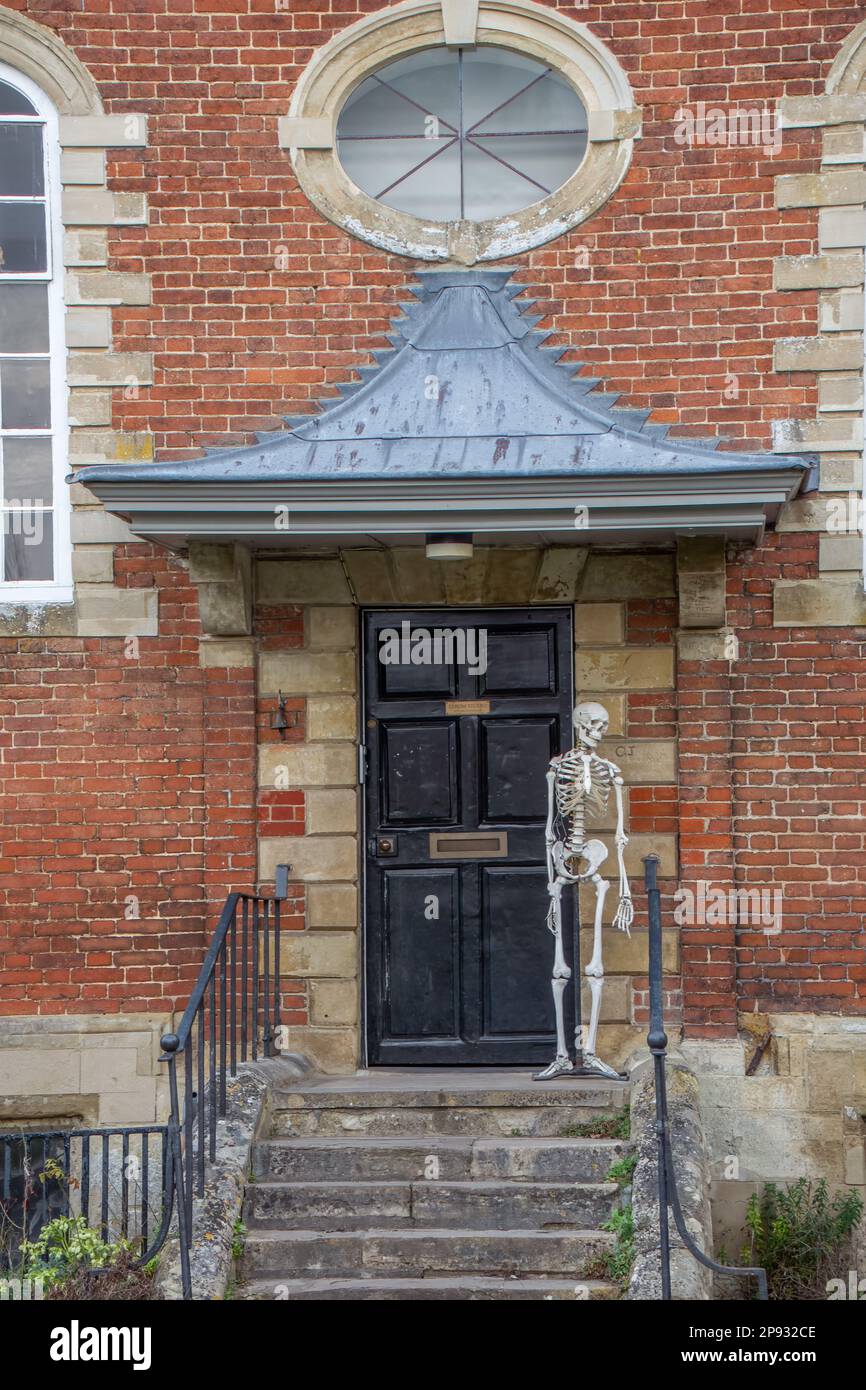 full size human skeleton standing outside Sarum Studio Cathedral Close ...