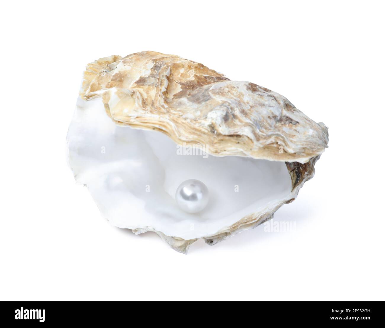Open oyster pearl inside Cut Out Stock Images & Pictures - Alamy