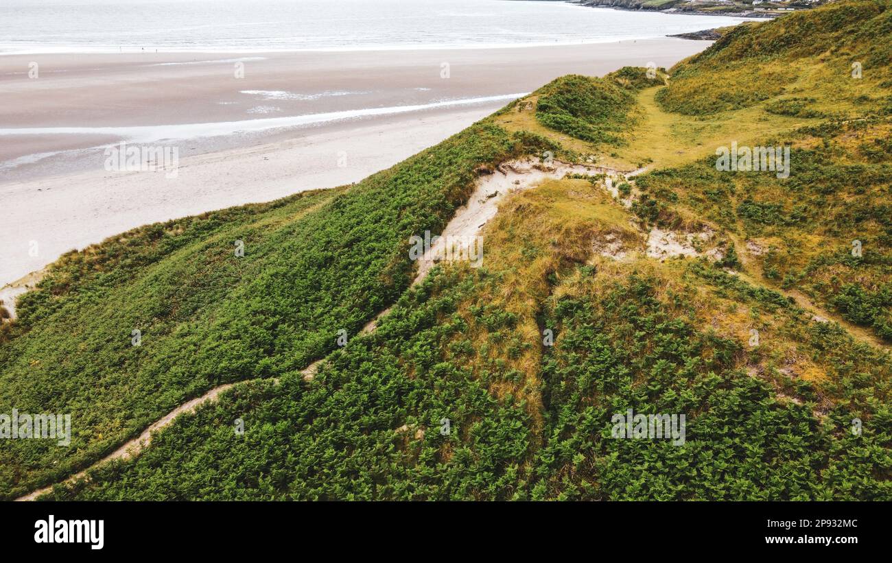 The slope of a high hill on a sandy seashore. Green grass covered ...