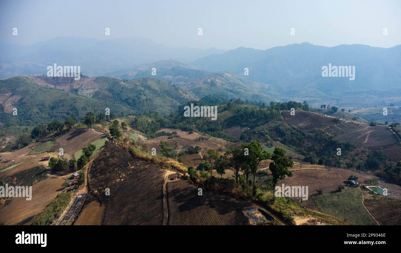 Burnt forests from air hi-res stock photography and images - Alamy
