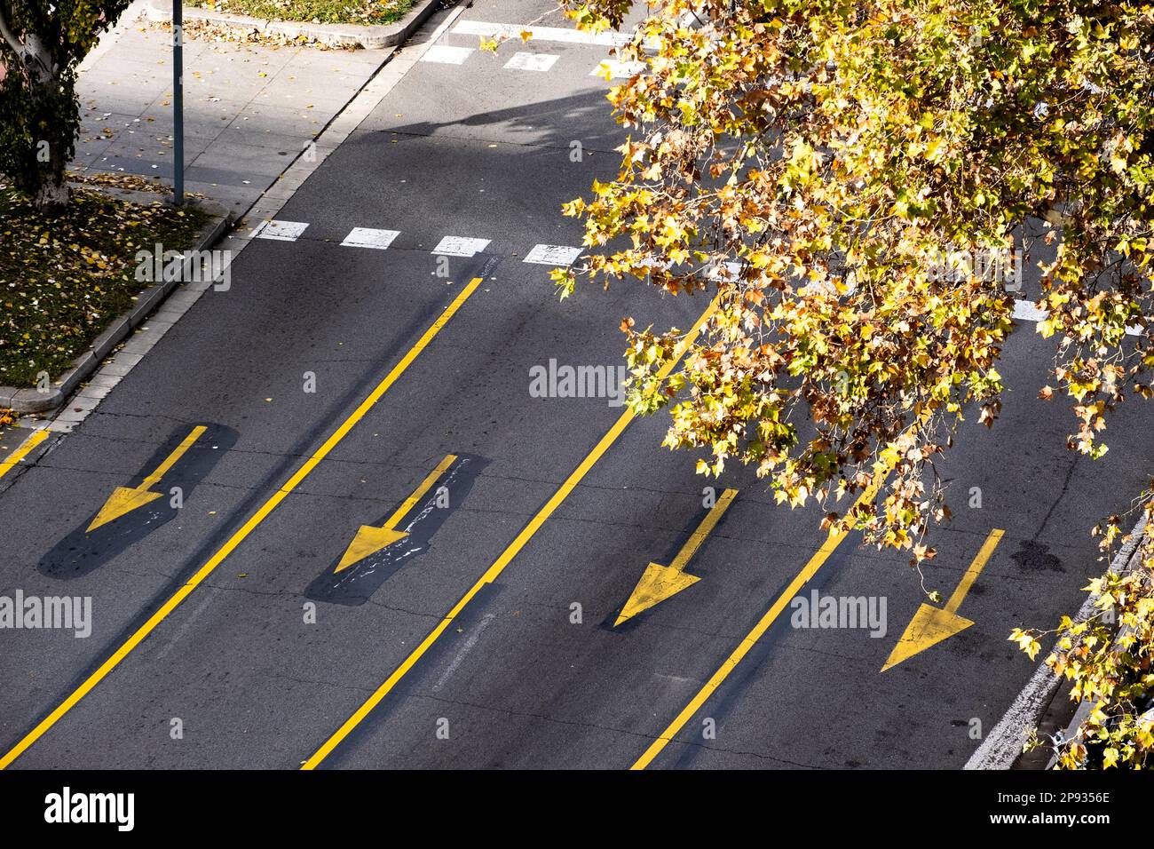 Elevated view of traffic signs painted on an avenue Stock Photo - Alamy