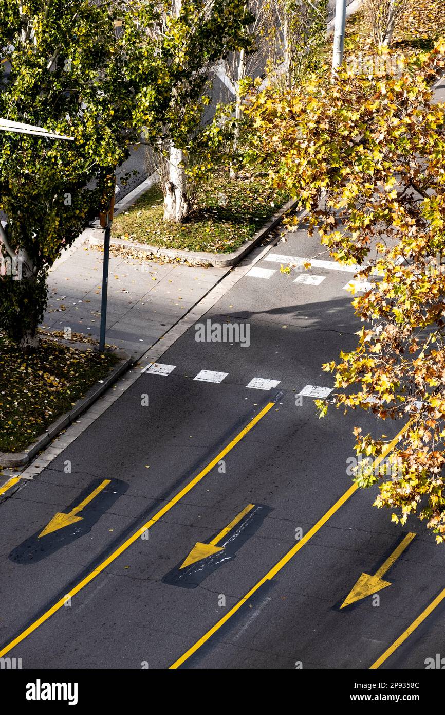 Elevated view of traffic signs painted on an avenue Stock Photo - Alamy