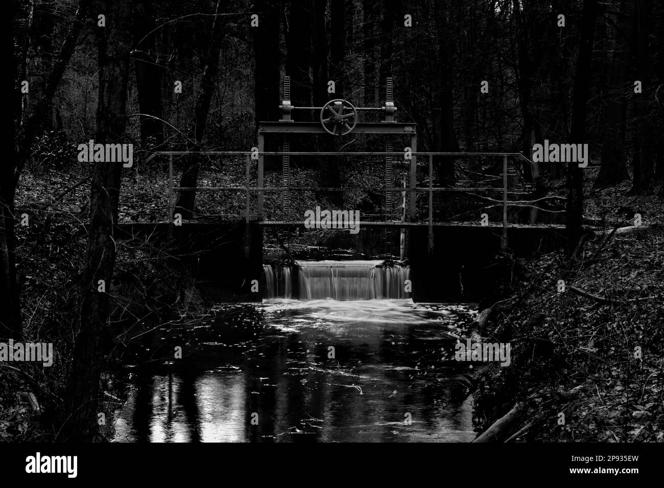 Small narrow river in winter in a deciduous forest with a weir, black ...