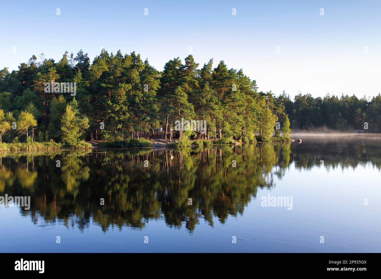 Swedish archipelago landscape with sun flooded forest mirrored in a ...