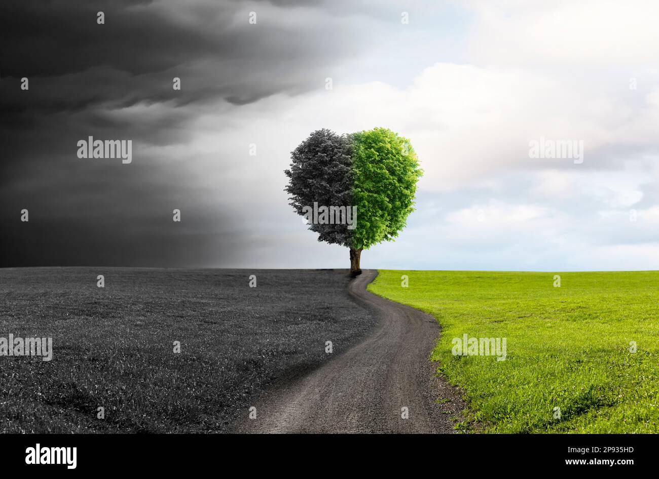 Tree in the shape of heart as an example of climate change to intact ...
