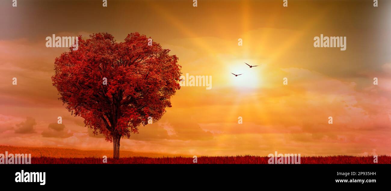 Heart tree with birds hi-res stock photography and images - Alamy