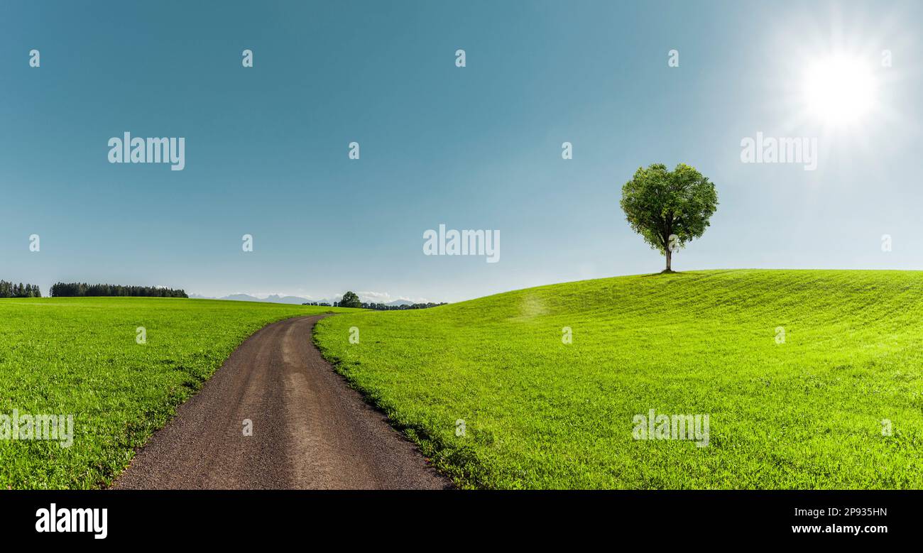 Meadow pathway hi-res stock photography and images - Alamy