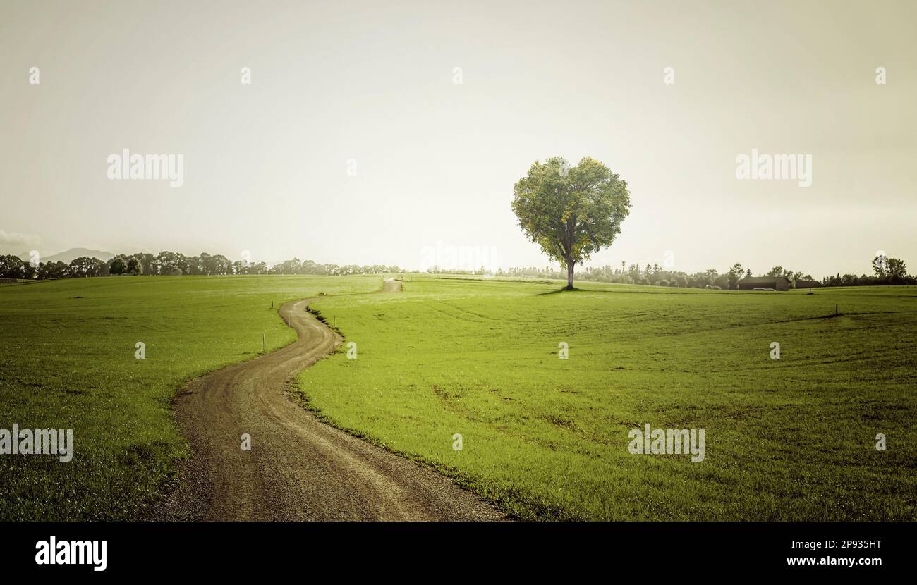 Meadow pathway hi-res stock photography and images - Alamy