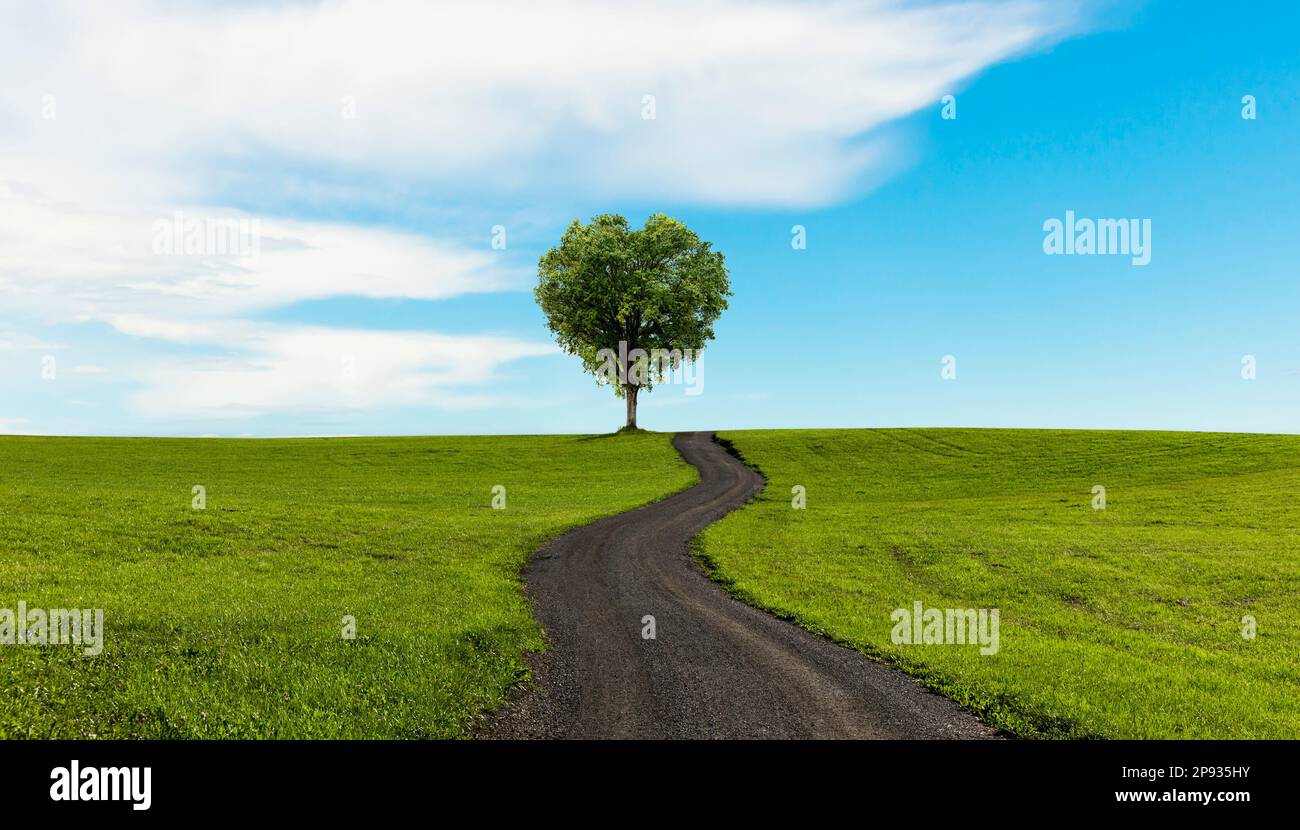 Meadow pathway hi-res stock photography and images - Alamy