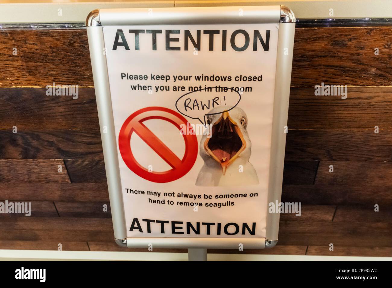 England, East Sussex, Eastbourne, Hotel Seagull Warning Sign Stock ...